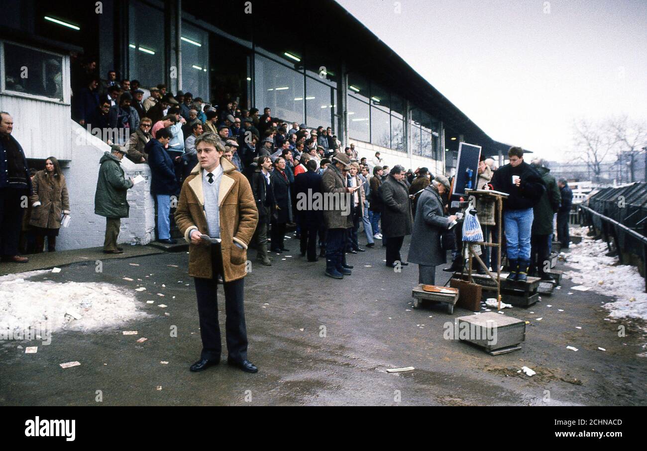 Stadio di corse di cani hackney immagini e fotografie stock ad alta ...