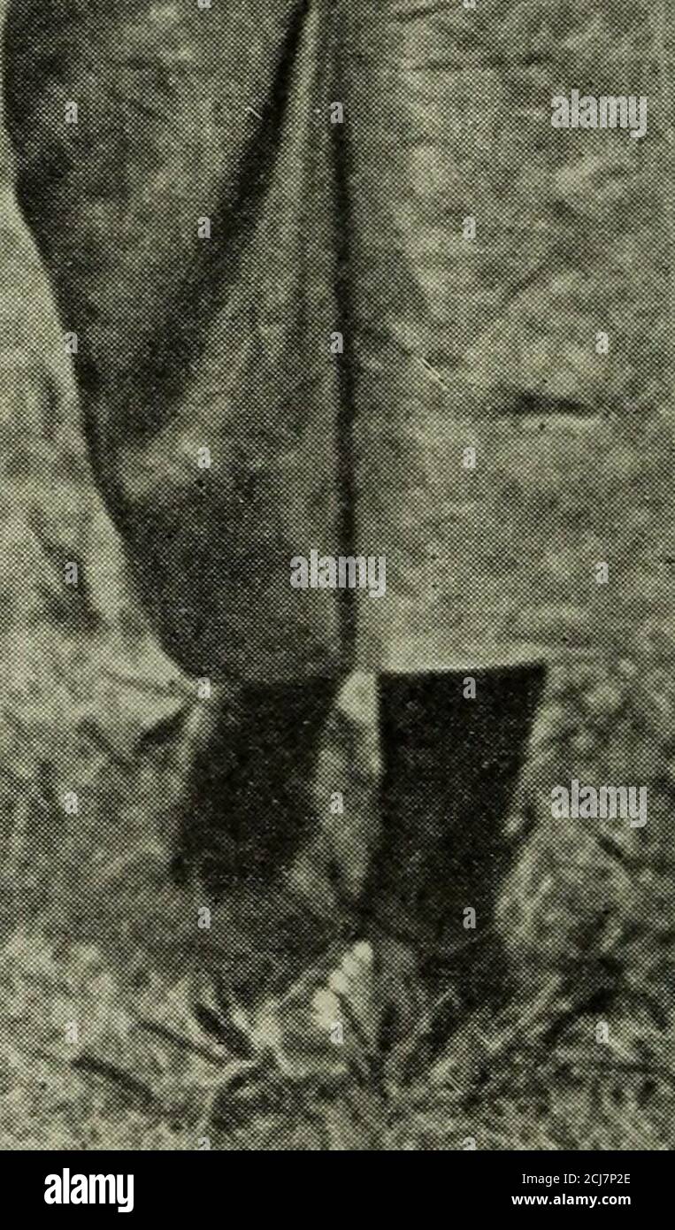 Alexa stirling immagini e fotografie stock ad alta risoluzione - Alamy