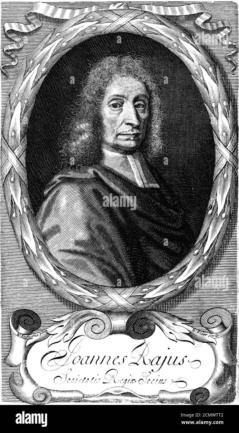 John ray immagini e fotografie stock ad alta risoluzione - Alamy