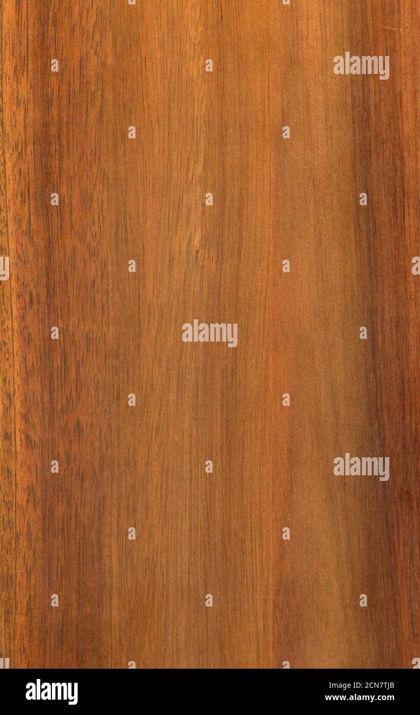 Teak wood texture immagini e fotografie stock ad alta risoluzione - Alamy