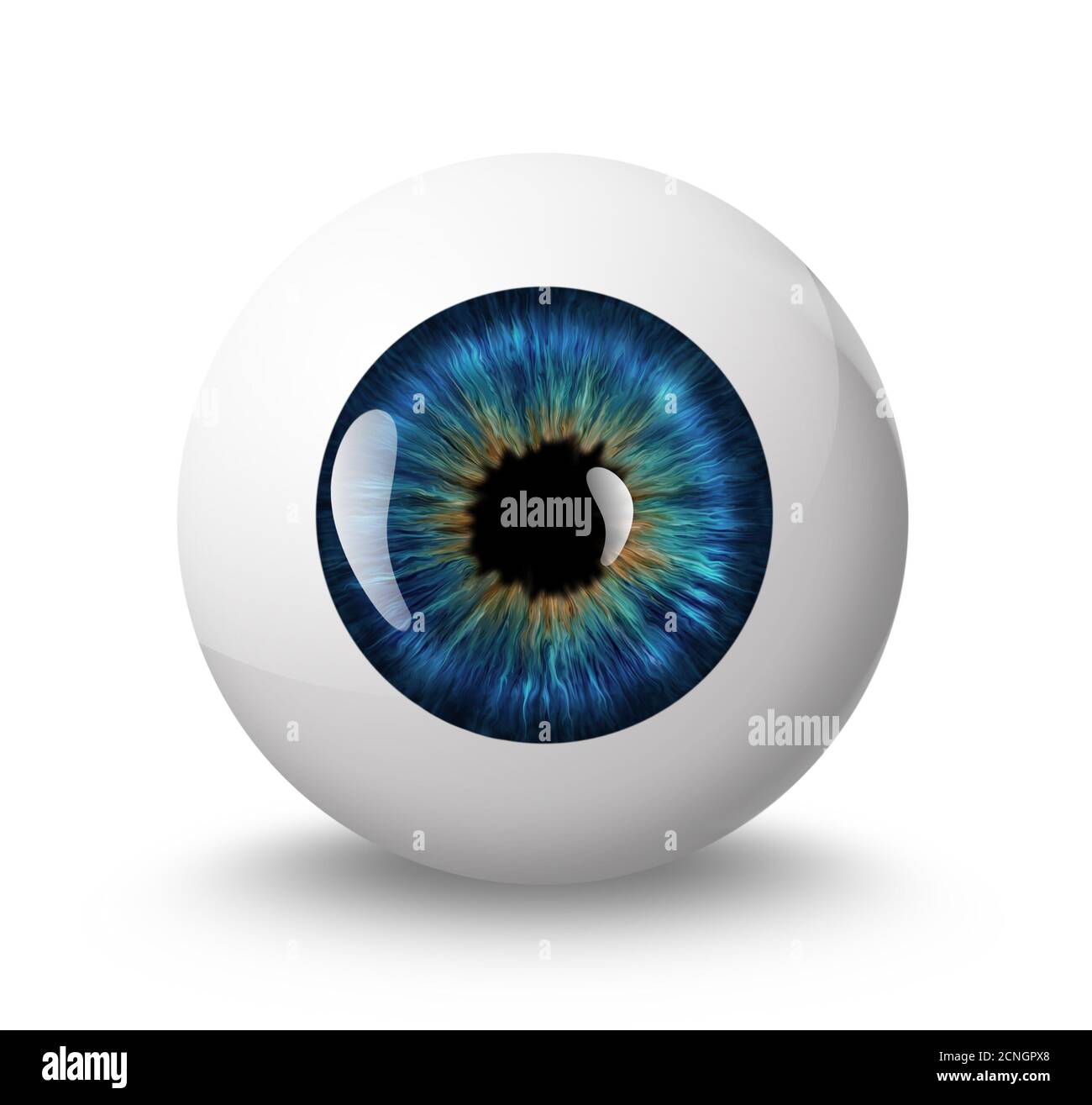 Bulbo oculare immagini e fotografie stock ad alta risoluzione - Alamy