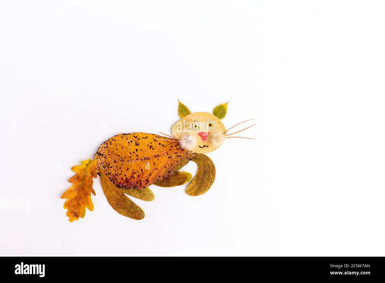 Gato y gatito para colorear para niños en edad preescolar immagini e ...