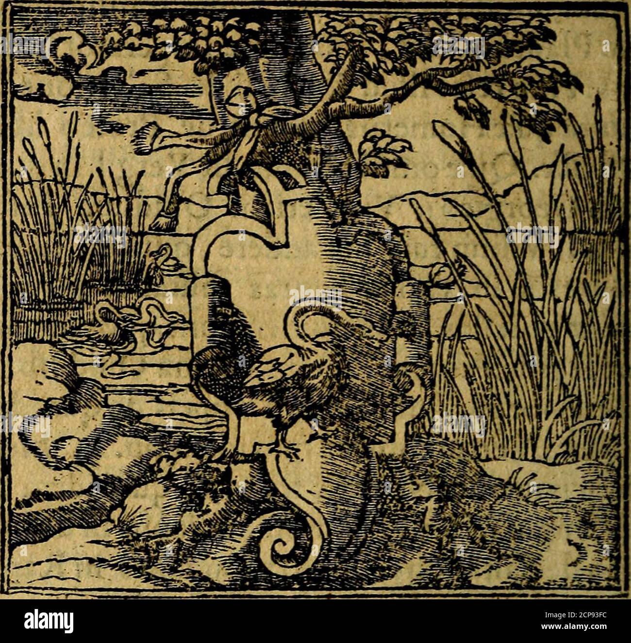 . Francisci Sanctii Brocensis .. . hb. 11.Metamorph.rviaitra,fius ...