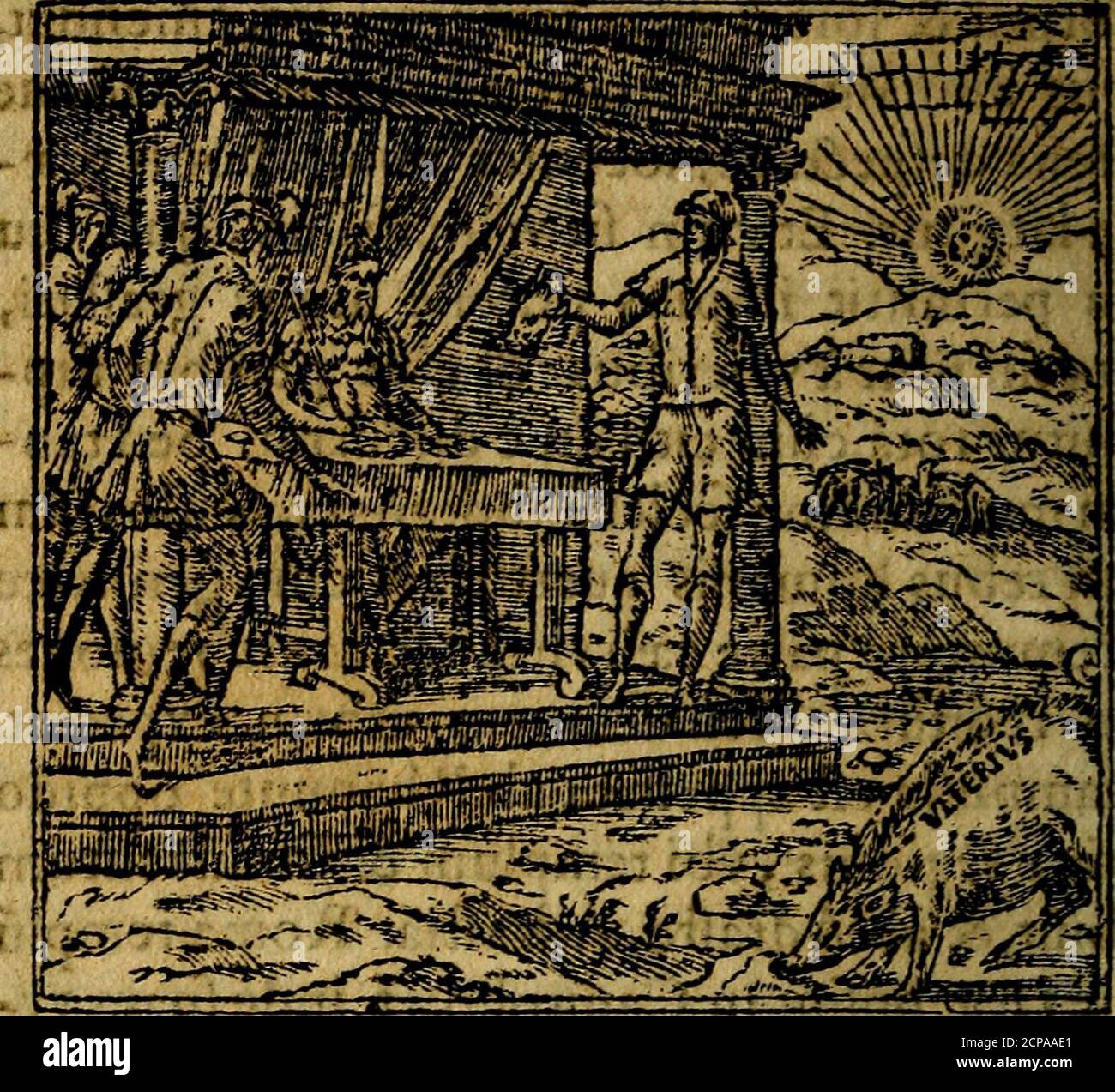 . Francisci Sanctii Brocensis .. . cadoqueterrena defpec1:an,nocentes ...