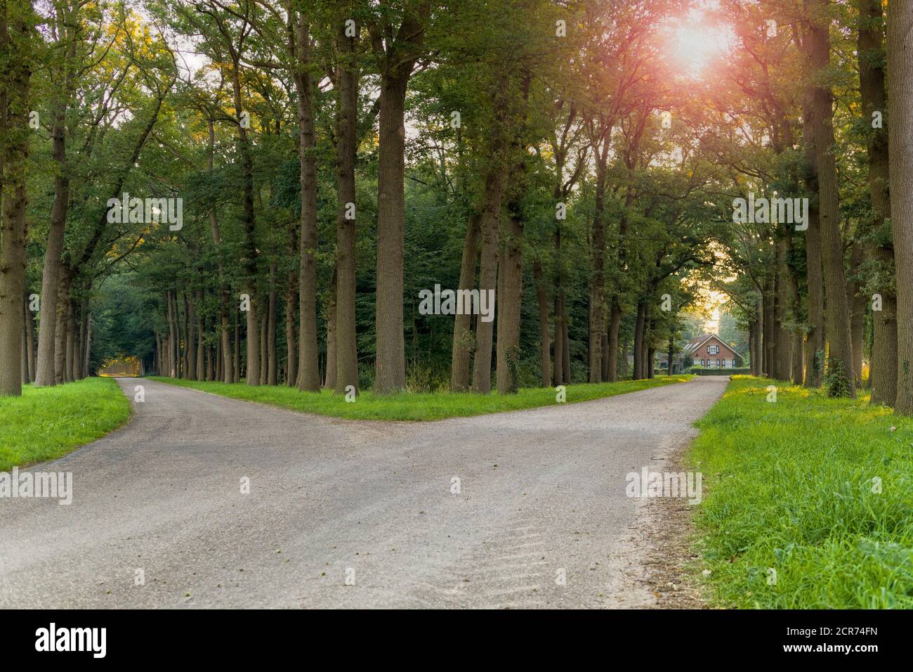 La Sua Giunzione Immagini e Fotos Stock - Alamy
