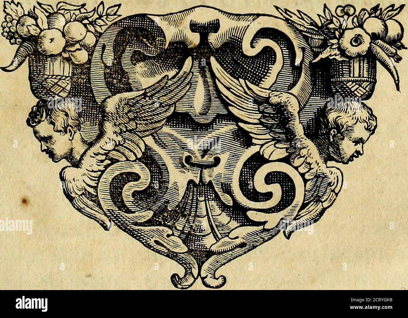 . Icones imperatorvm romanorvm, ex primis numismatibus ad viuum ...