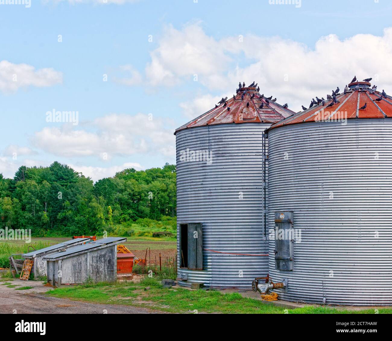 Vecchi silos grandi e piccoli silos immagini e fotografie stock ad alta ...