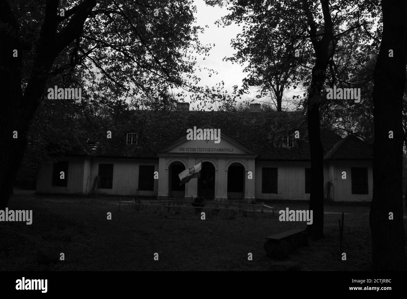Albero bandiera polacca immagini e fotografie stock ad alta risoluzione ...