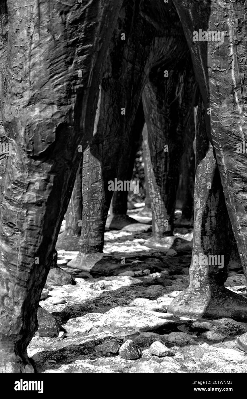 Schindler list immagini e fotografie stock ad alta risoluzione - Alamy