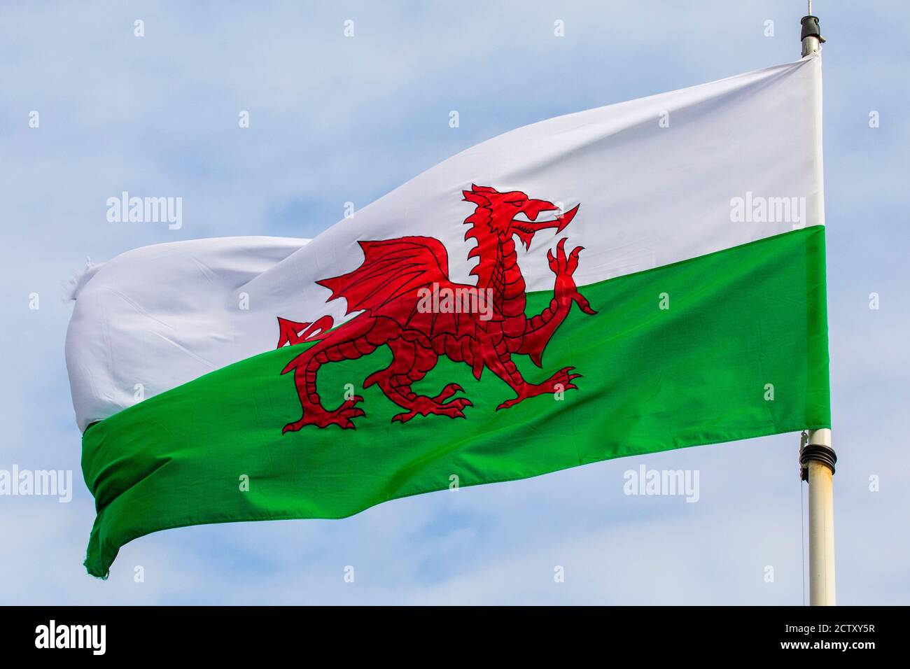 Official country flags world map immagini e fotografie stock ad alta ...