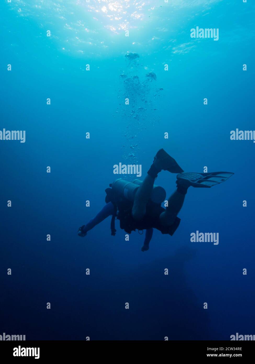 Maestro subacqueo immagini e fotografie stock ad alta risoluzione - Alamy