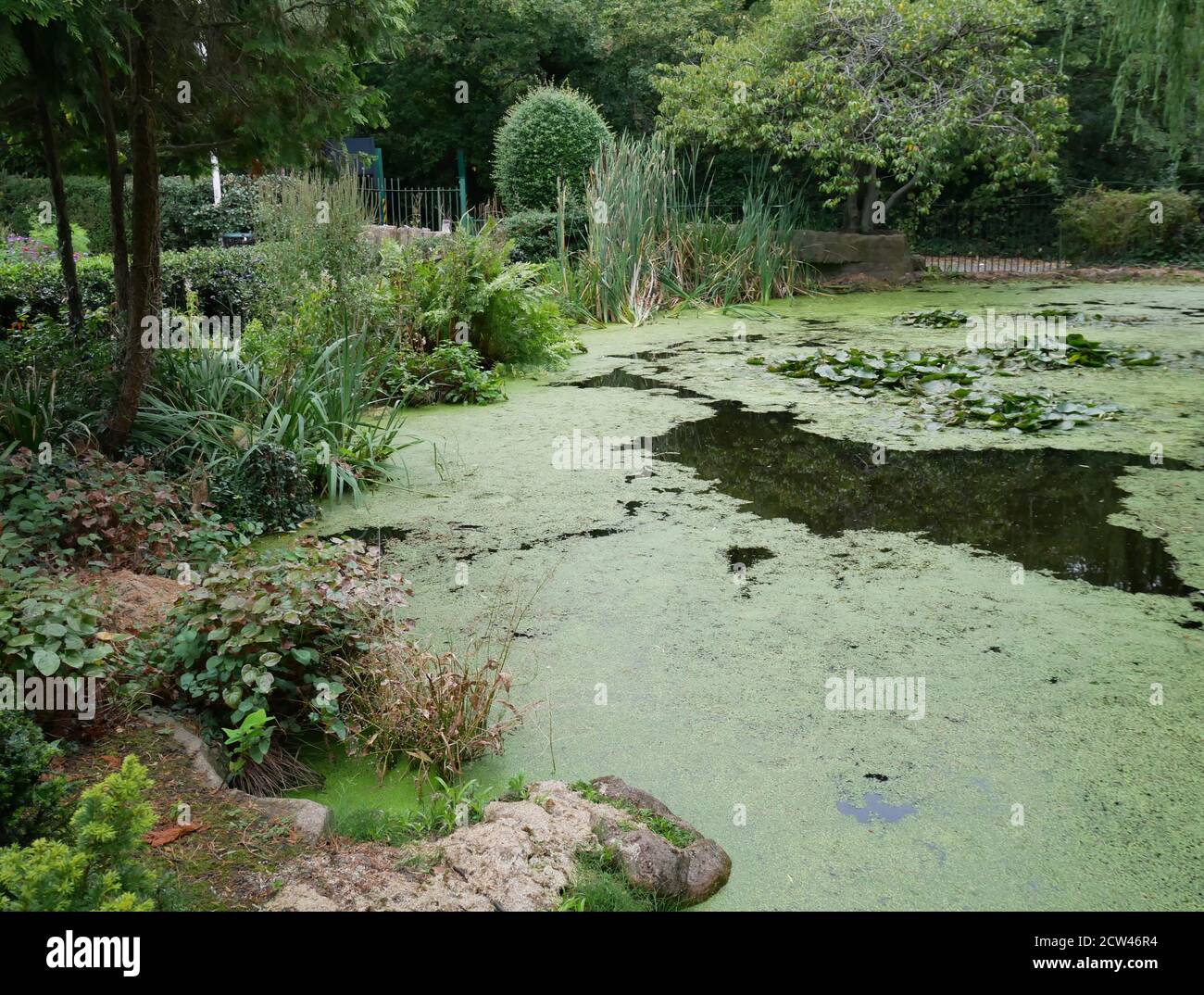 Giardini di coombe immagini e fotografie stock ad alta risoluzione - Alamy