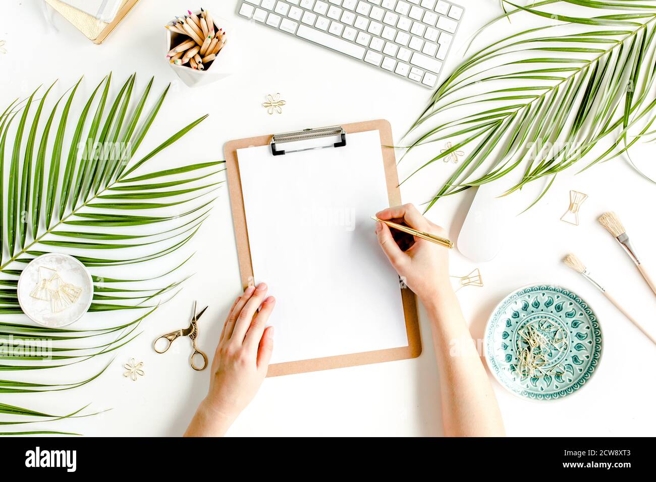 Modello Di Palma Stilizzato Immagini e Fotos Stock - Alamy