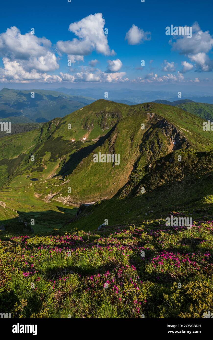 Pip Ivan Mountain Immagini e Fotos Stock - Alamy
