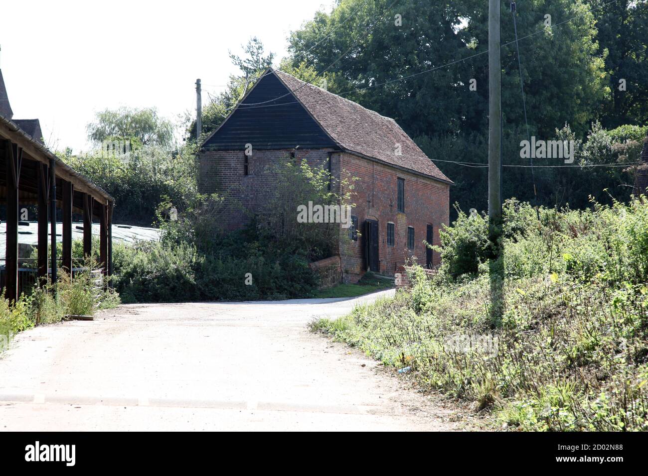 Paddington farm abinger immagini e fotografie stock ad alta risoluzione ...