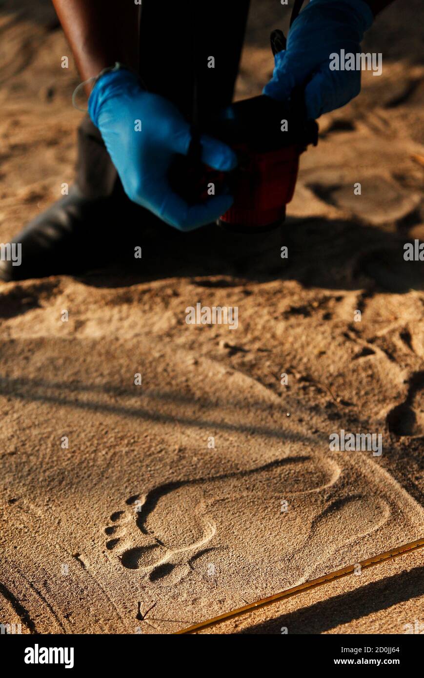 Hannah witheridge and david miller immagini e fotografie stock ad alta ...