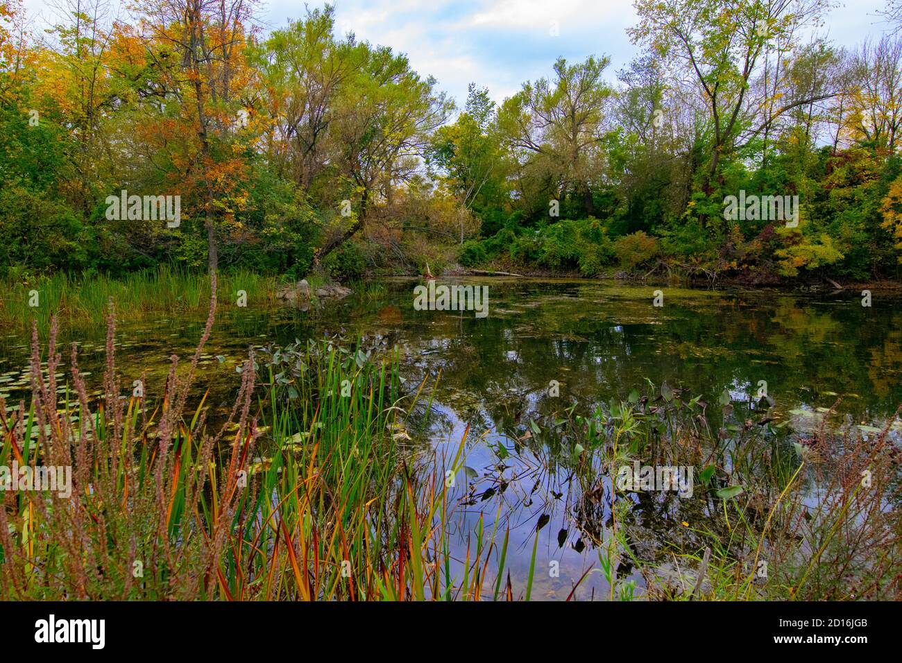 Pointe des cascades quebec immagini e fotografie stock ad alta ...
