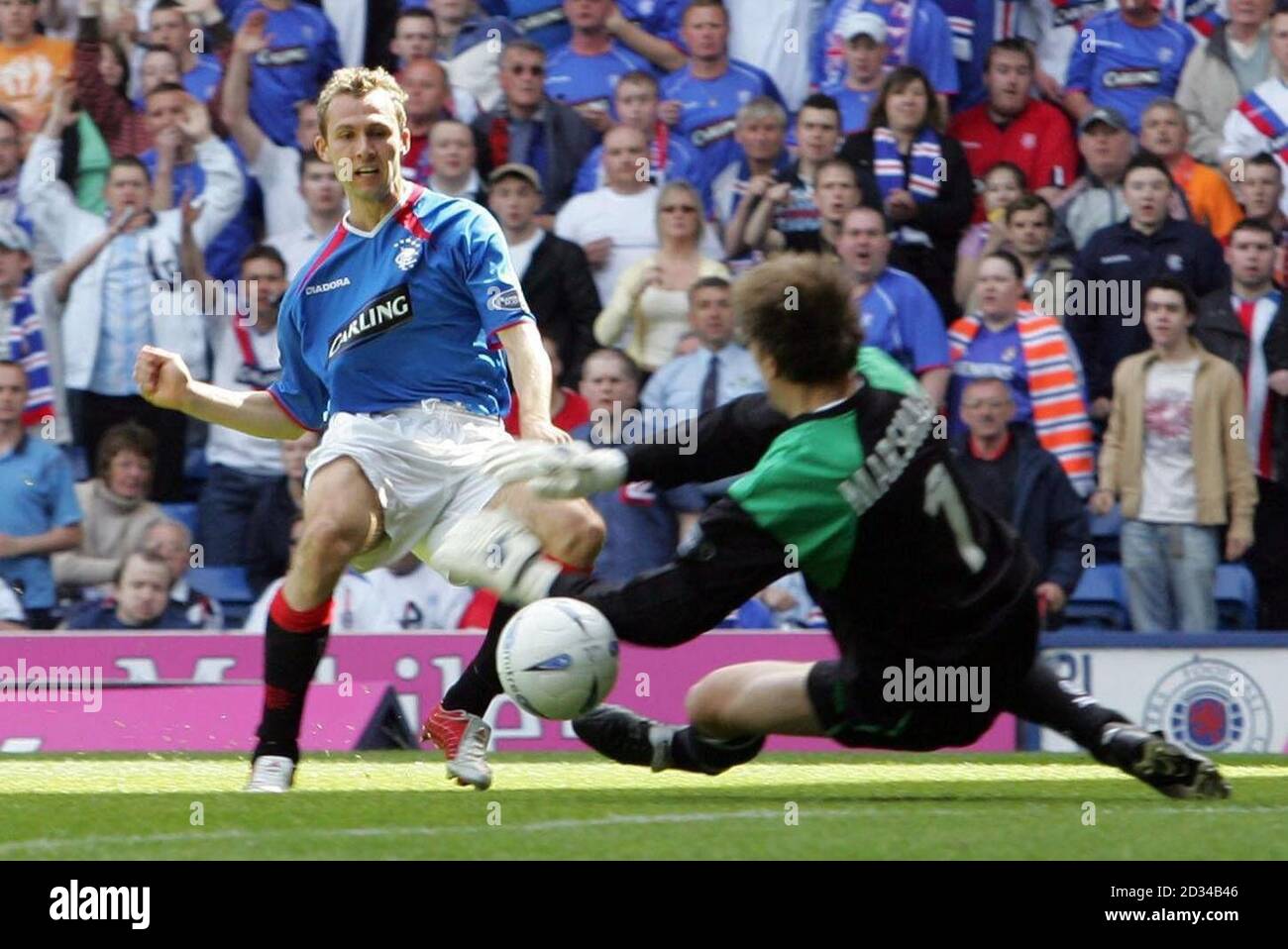 Thomas buffel dei rangers immagini e fotografie stock ad alta ...