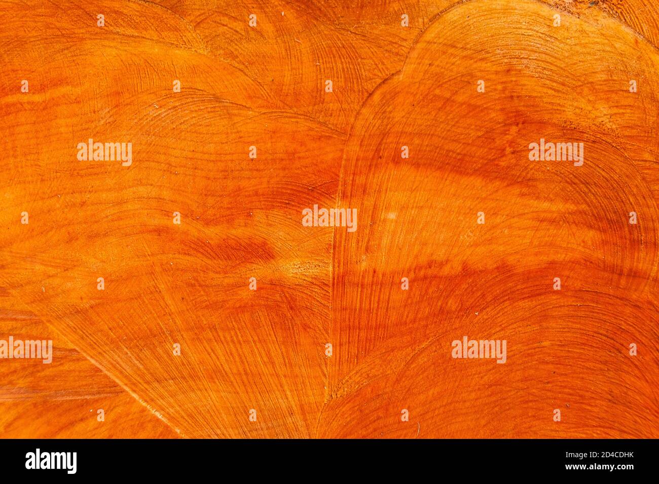 Tronco sezione immagini e fotografie stock ad alta risoluzione - Alamy