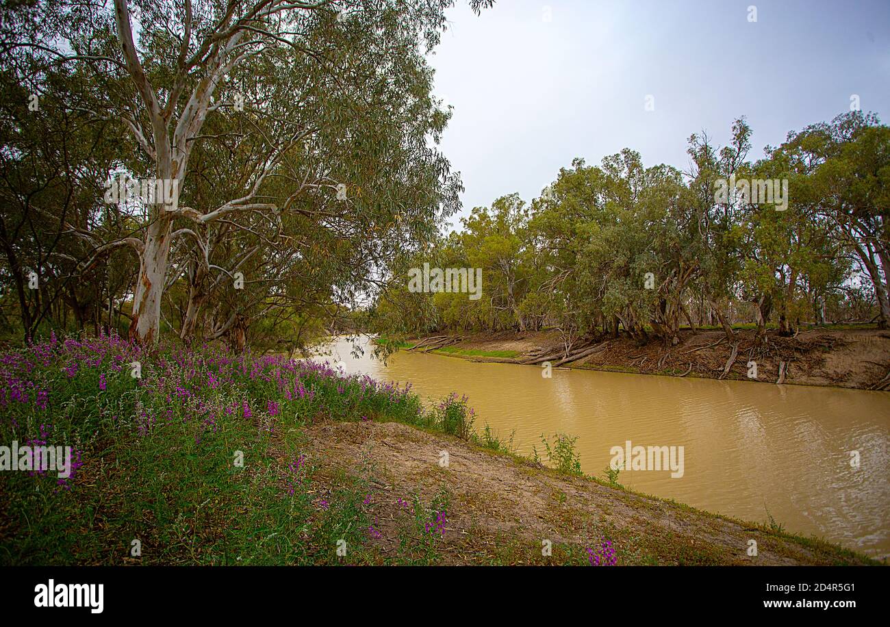 Darling fiume immagini e fotografie stock ad alta risoluzione - Alamy