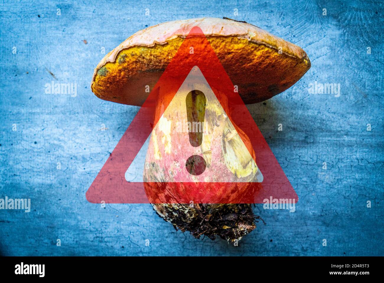 Pittogramma tossico immagini e fotografie stock ad alta risoluzione - Alamy