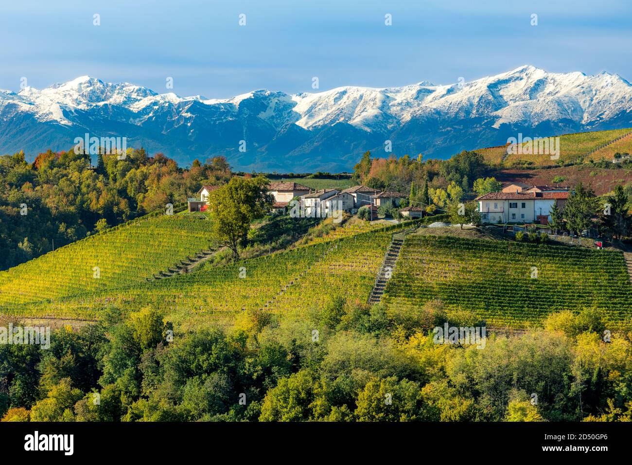 Neve dei vigneti immagini e fotografie stock ad alta risoluzione - Alamy