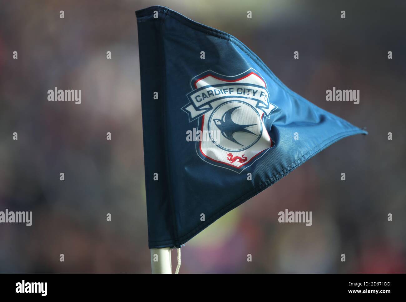 Cardiff city fc immagini e fotografie stock ad alta risoluzione - Alamy