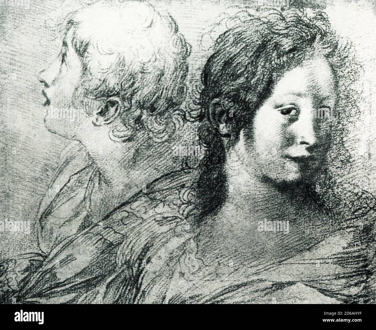 Due teste procaccini immagini e fotografie stock ad alta risoluzione ...