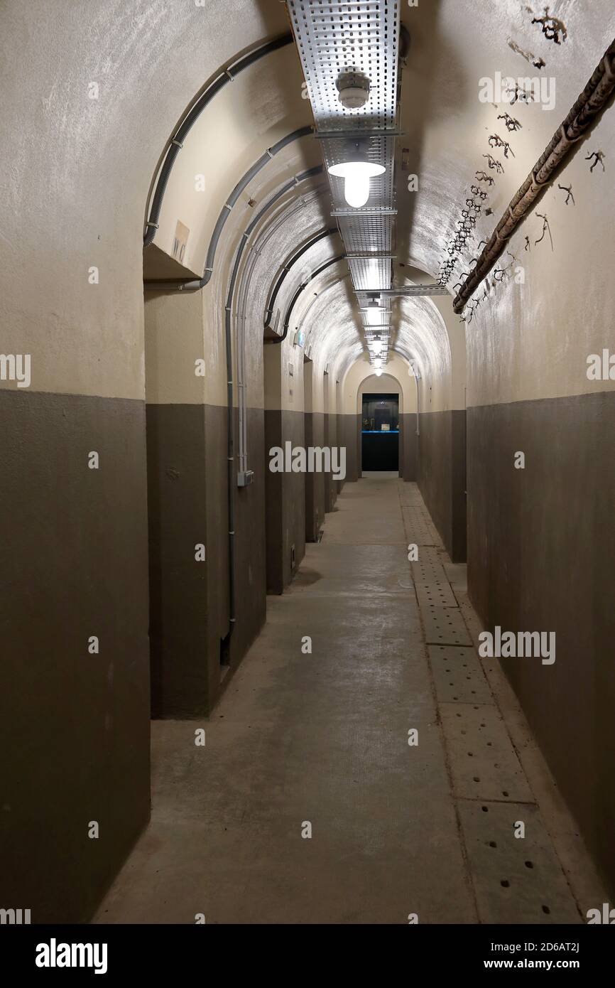 Francia francese seconda guerra mondiale liberazione immagini e ...