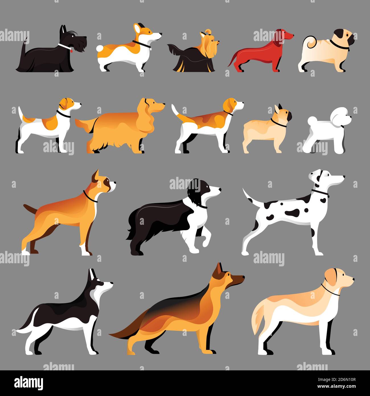 Segno di razze di cani Immagini Vettoriali Stock - Alamy