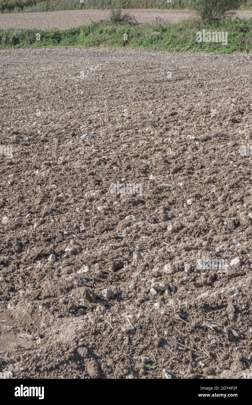 Tipi di suolo di pedologia immagini e fotografie stock ad alta ...