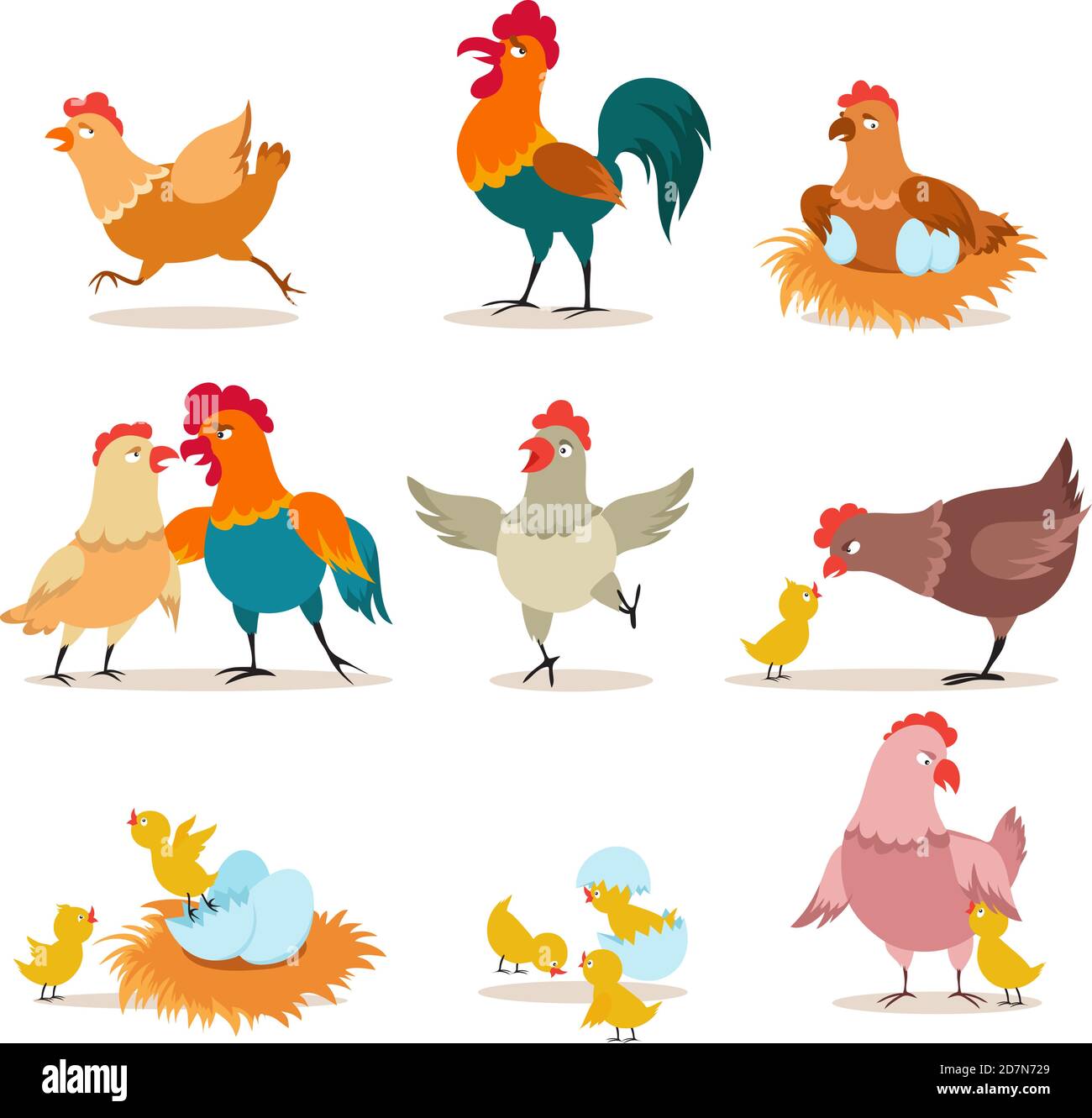 Pollo al cartone animato. Pulcino con uova, gallina e gallo. Buon pollo ...