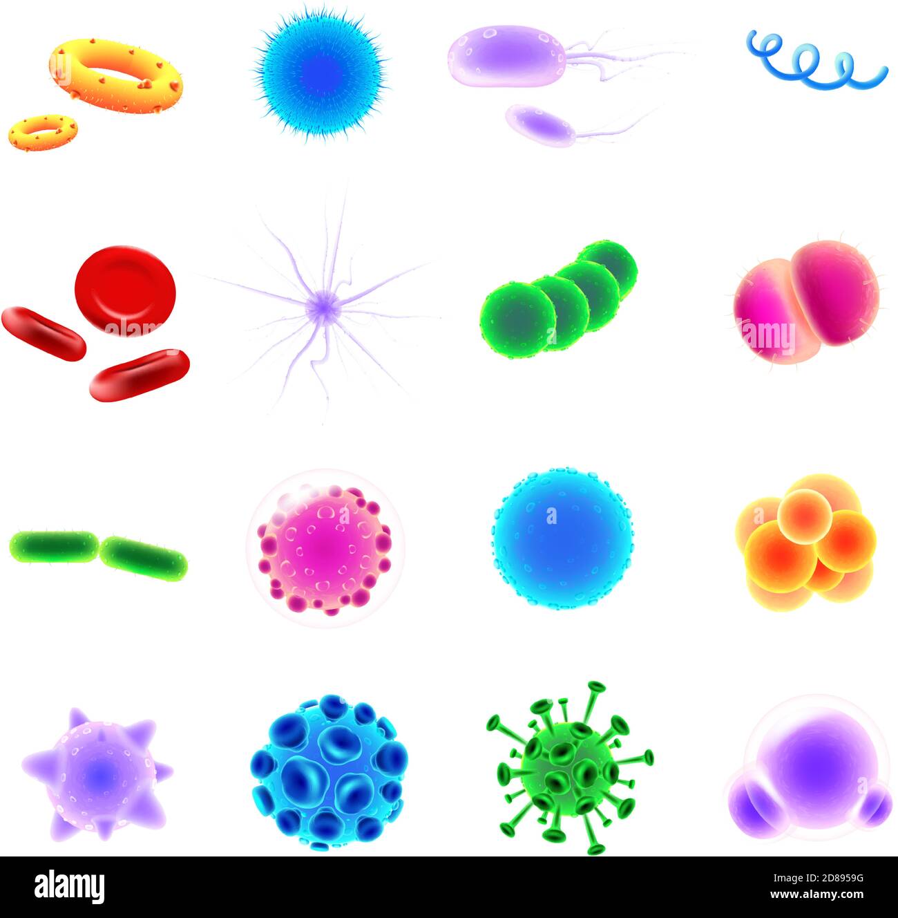 Tipos de bacterias microbiologia immagini e fotografie stock ad alta ...