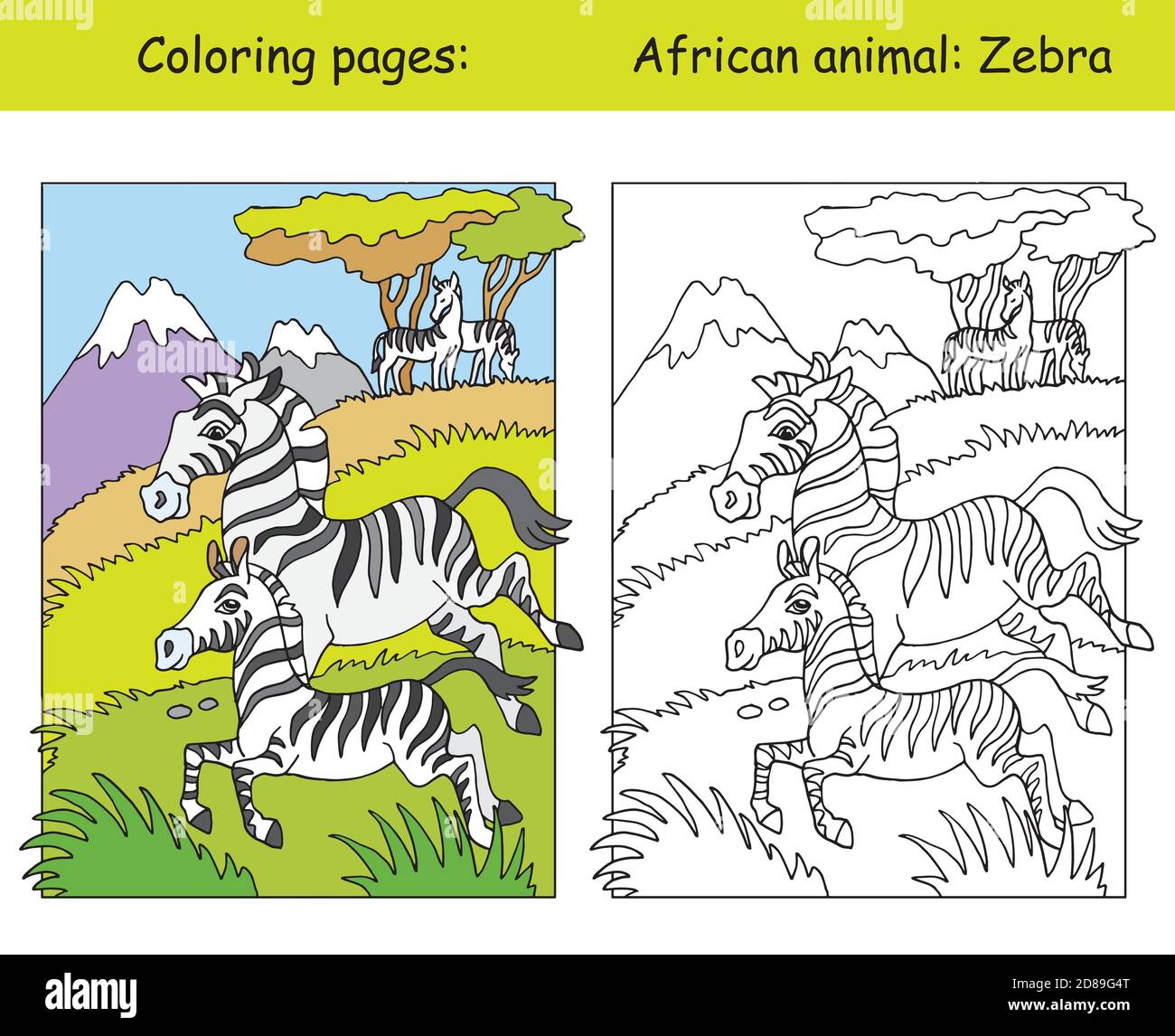 Cartoon baby zebra animal outline immagini e fotografie stock ad alta ...