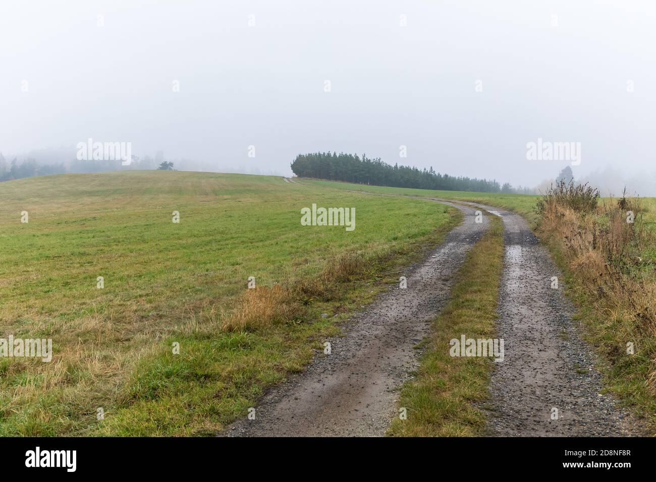 Sentiero di fango tra gli alberi immagini e fotografie stock ad alta ...