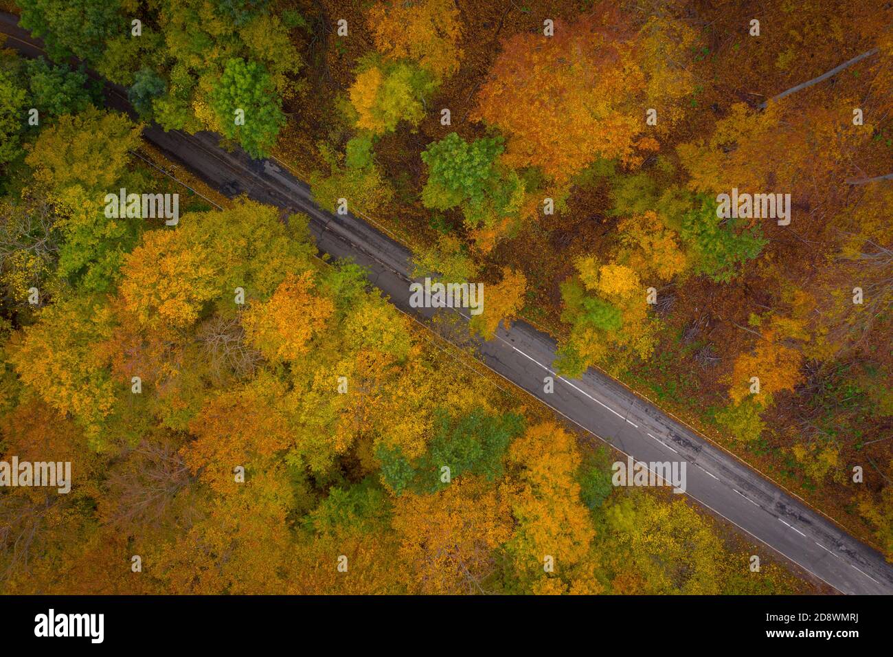 Asfalto Colorato Immagini e Fotos Stock - Alamy