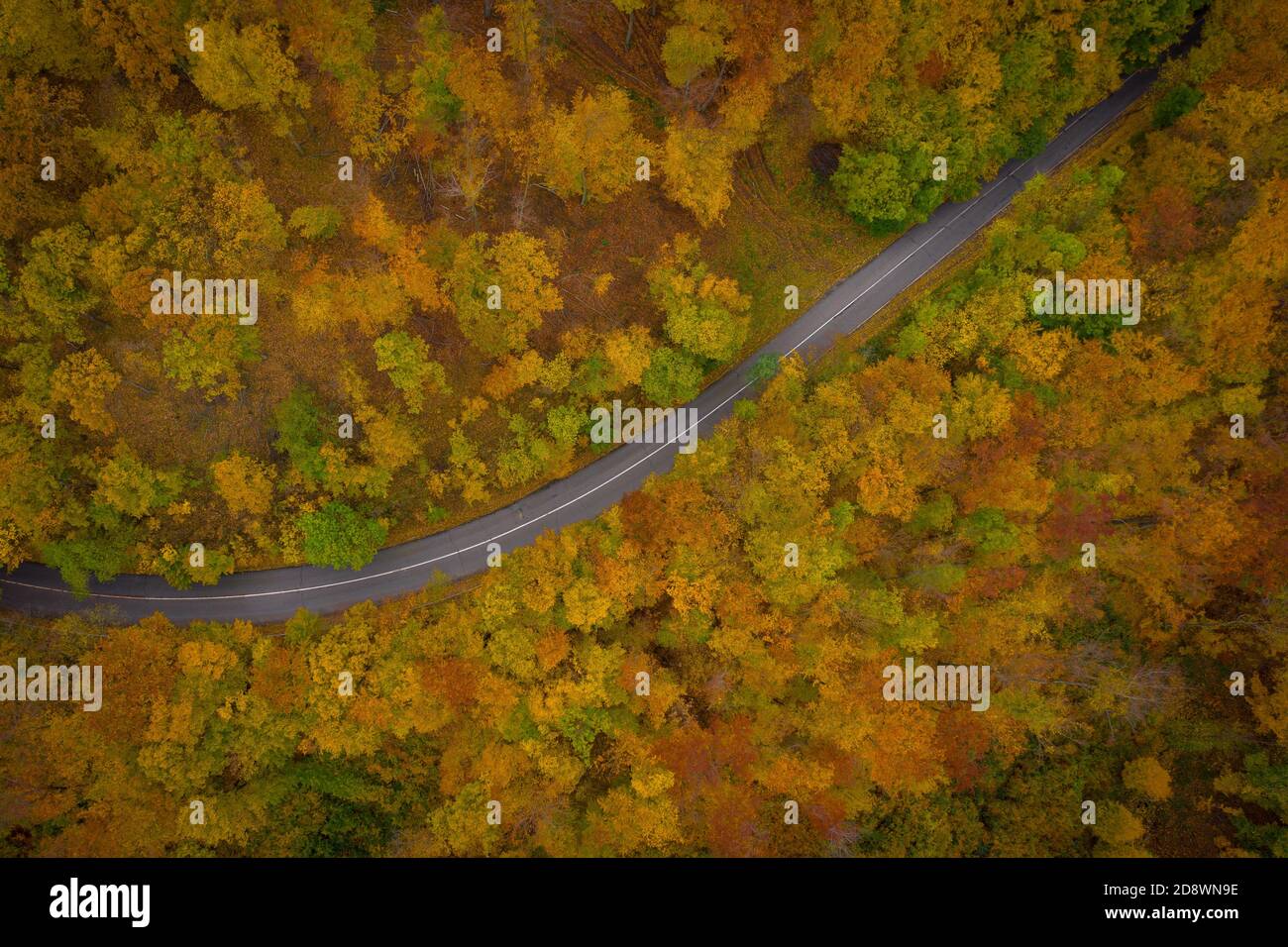 Asfalto Colorato Immagini e Fotos Stock - Alamy