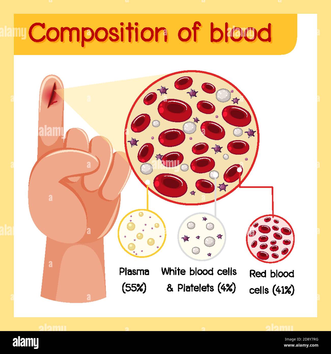 Blood cells composition drawing immagini e fotografie stock ad alta ...