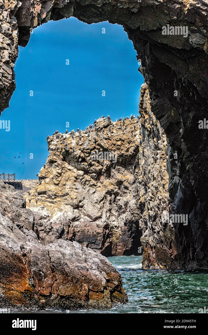 La riserva naturale di paracas e le isole ballestas immagini e ...