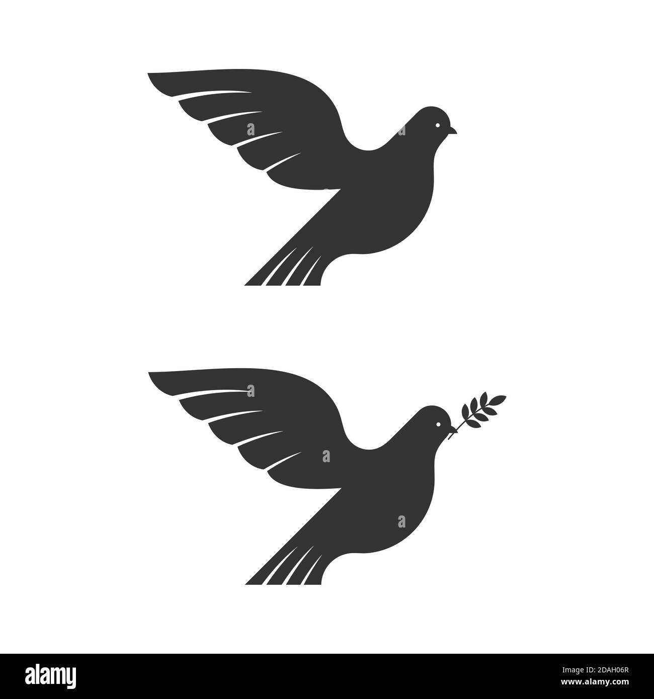 Colomba, simbolo di pace e di purezza. Il simbolo biblico dello Spirito ...