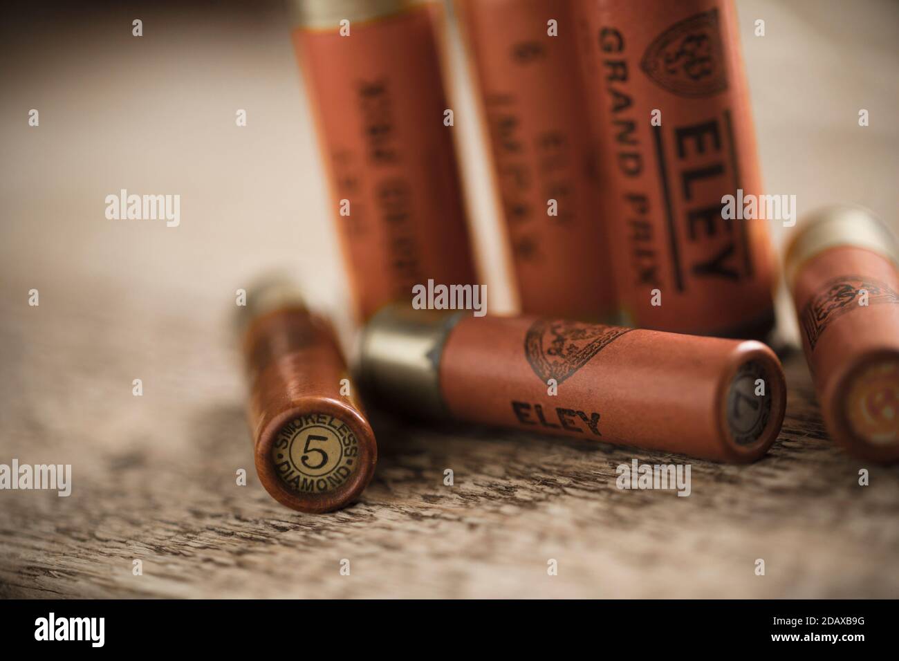 Vecchie cartucce per fucili da caccia immagini e fotografie stock ad ...