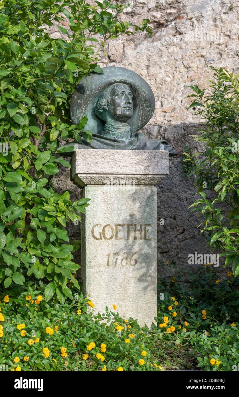 Goethe tree immagini e fotografie stock ad alta risoluzione - Alamy