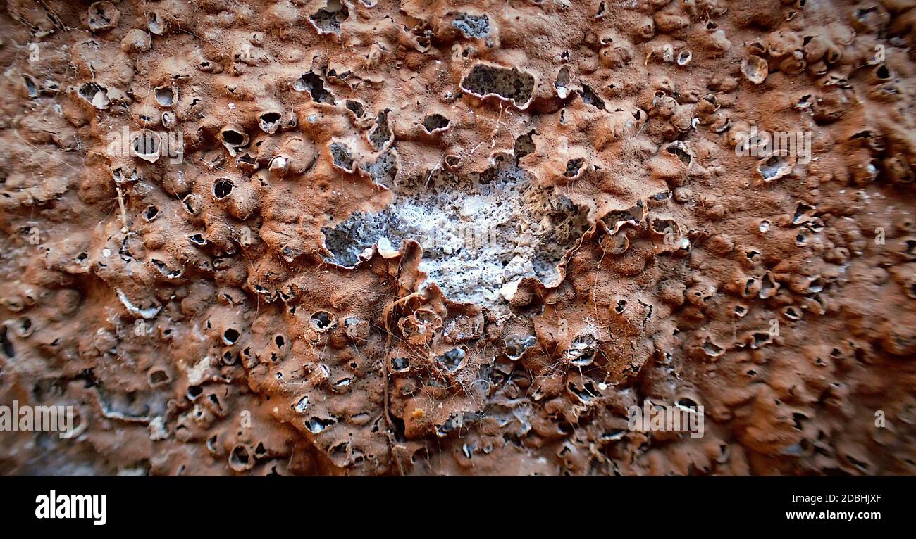 Vernice solida immagini e fotografie stock ad alta risoluzione - Alamy