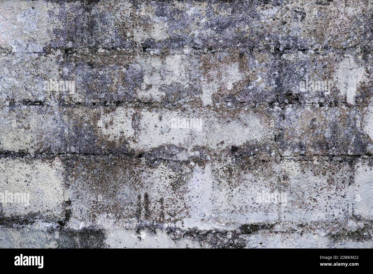 Intonaco rotto immagini e fotografie stock ad alta risoluzione - Alamy