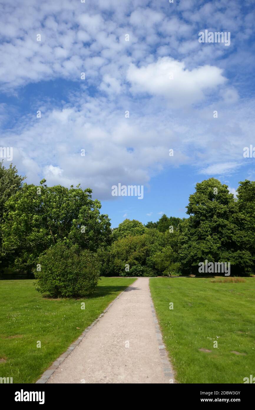 Sentiero escursionistico nel parco loki schmidt ad amburgo immagini e ...