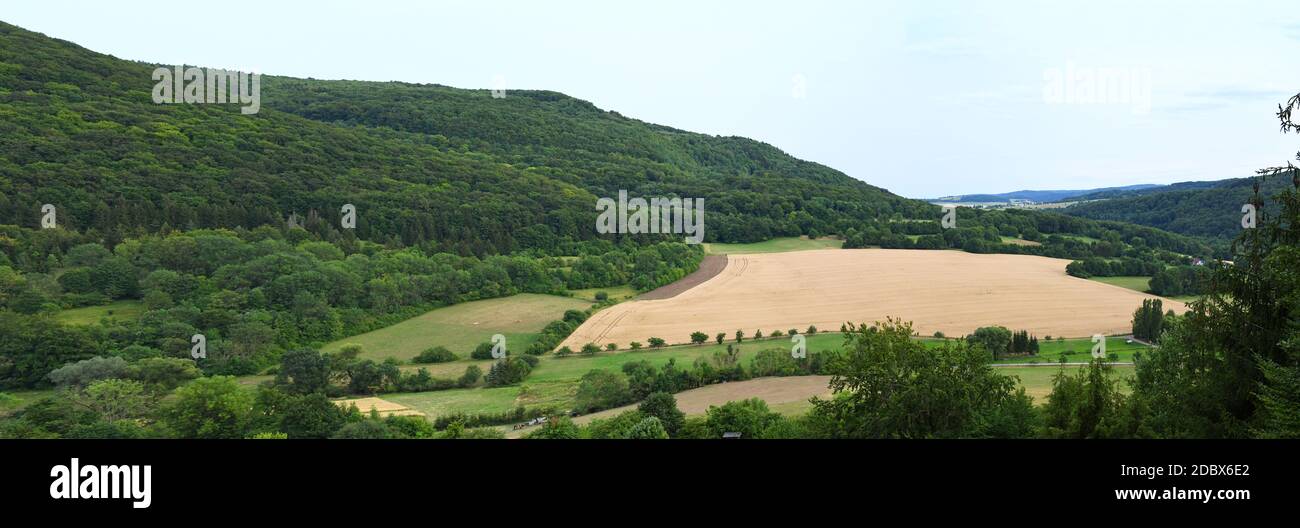 Boschi della turingia immagini e fotografie stock ad alta risoluzione ...