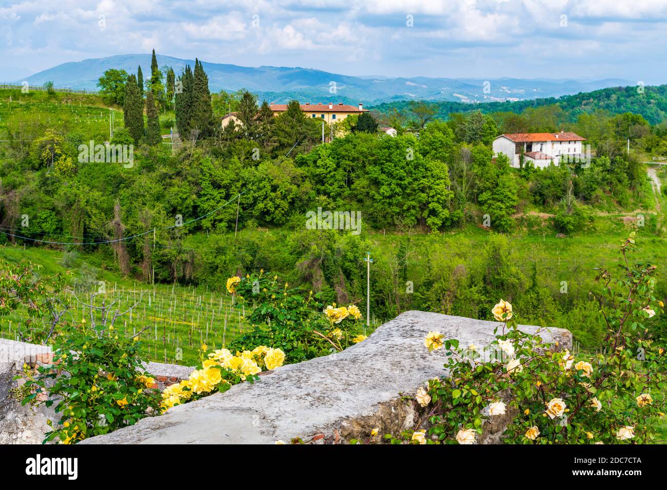Vigna friuli venezia giulia immagini e fotografie stock ad alta ...