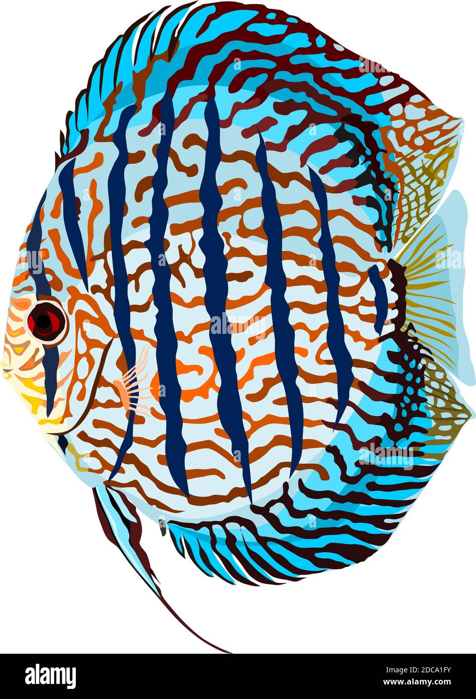 Acquario di pesci discus Immagini Vettoriali Stock - Alamy