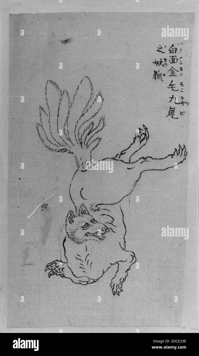 Volpe a nove code immagini e fotografie stock ad alta risoluzione - Alamy