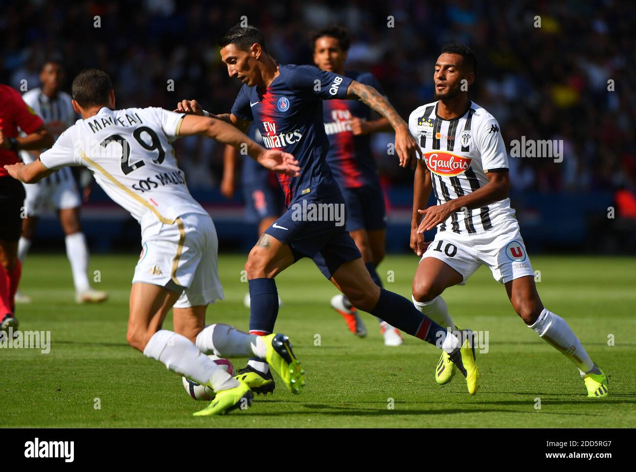 Angelo dimaria immagini e fotografie stock ad alta risoluzione - Alamy
